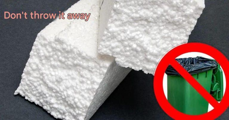 Leftover Styrofoam – Best Recipes