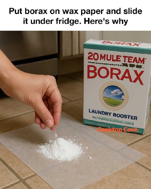 Put borax on wax paper and slide it under fridge. Here’s why – Best Recipes
